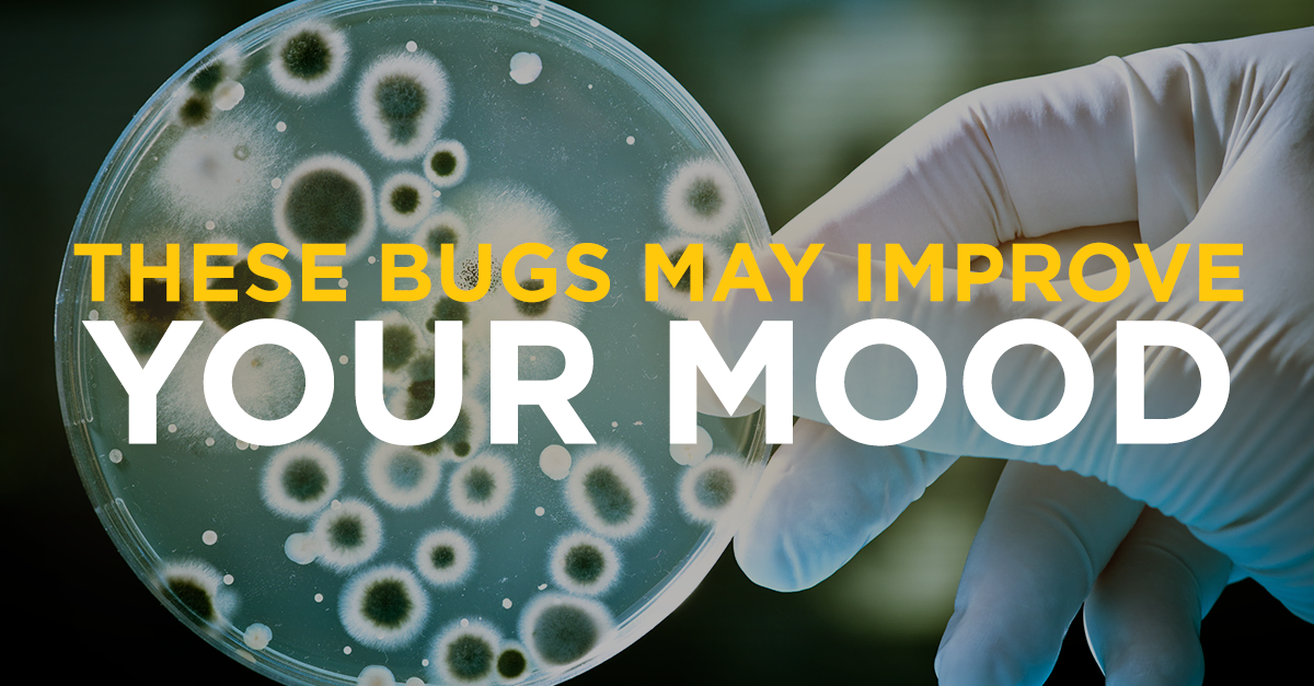These Bugs May Improve Your Mood - David Perlmutter M.D.