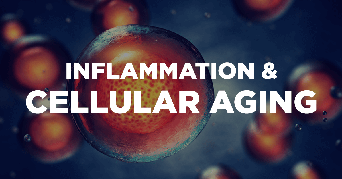 Inflammation and Cellular Aging - David Perlmutter, M.D.